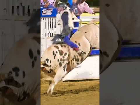 PRO BULL RIDER’S 🤠WHITE LIGHTNING vs The RYDER #shorts #viral #prorodeo.org