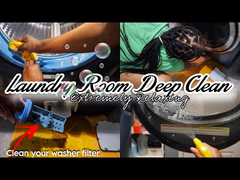 How to DEEP CLEAN your LAUNDRY APPLIANCES | CLEAN w/ a PROFESSIONAL