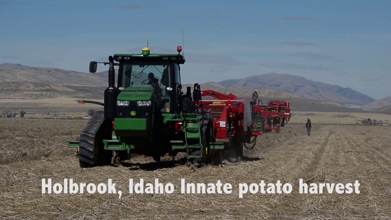 Grower Profile: CSS Farms Supports Innate Seed Potato Production