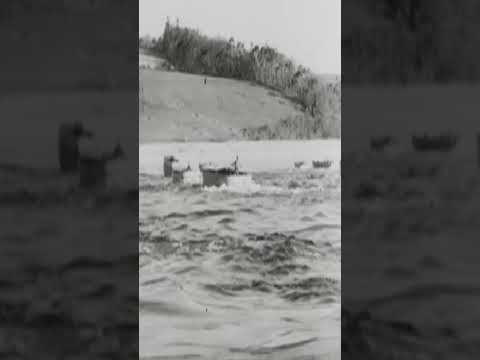 Swimming Sherman Tanks