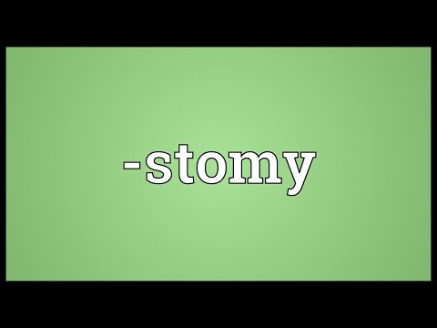 -stomy Meaning