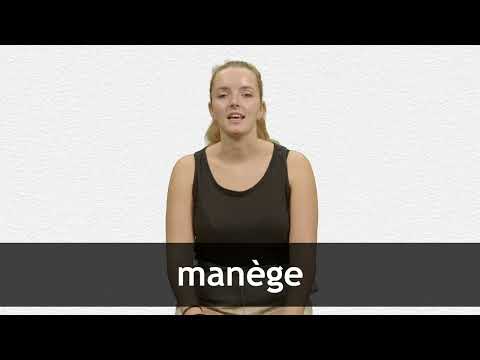 English Translation of “MANÈGE” | Collins French-English Dictionary