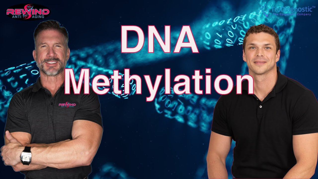 What is DNA methylation and why is it important?