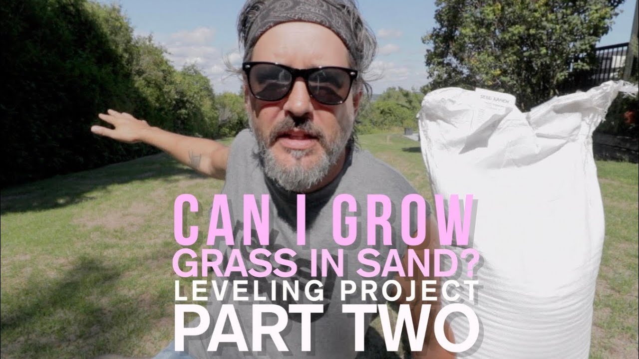 CAN I GROW GRASS IN SAND? Not Being Afraid To Fail.