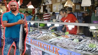 10 Things to Do in Al Wukayr Fish Market, Qatar | Gems.Travel