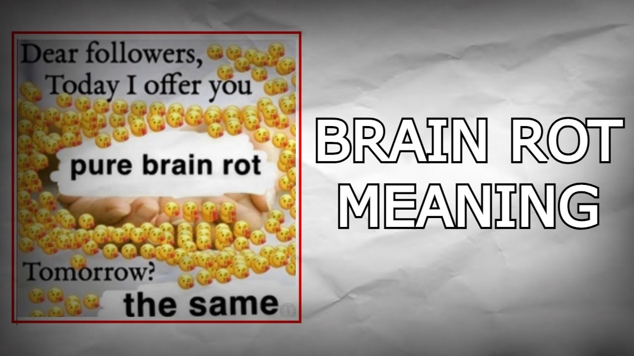 NEW MEME IN TIKTOK! BRAIN ROT MEANING