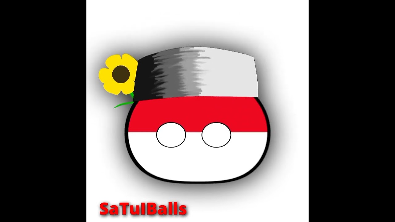 Sorry Ya #countryball #countryballs #meme #animation #subscribe #indonesia #fypシ  #memes  #memevideo