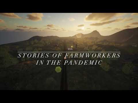 Mi Camino Trailer - Farmworkers in the Pandemic