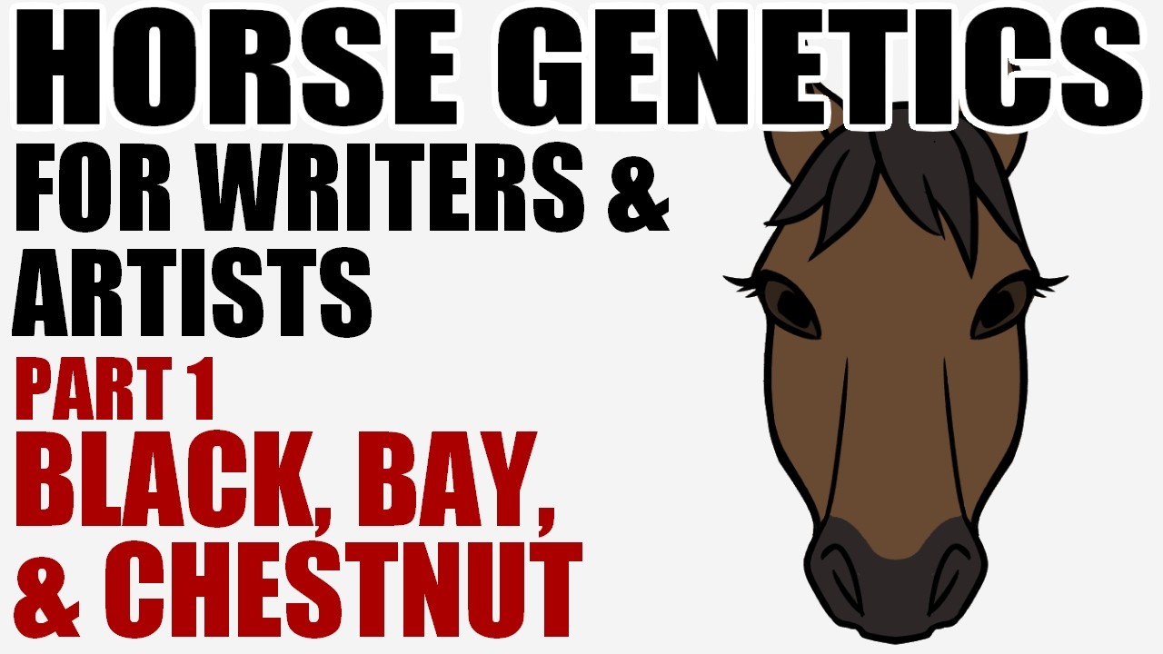 Horse Genetics for Writers & Artists part 1: Bay, Black, & Chestnut [CC]
