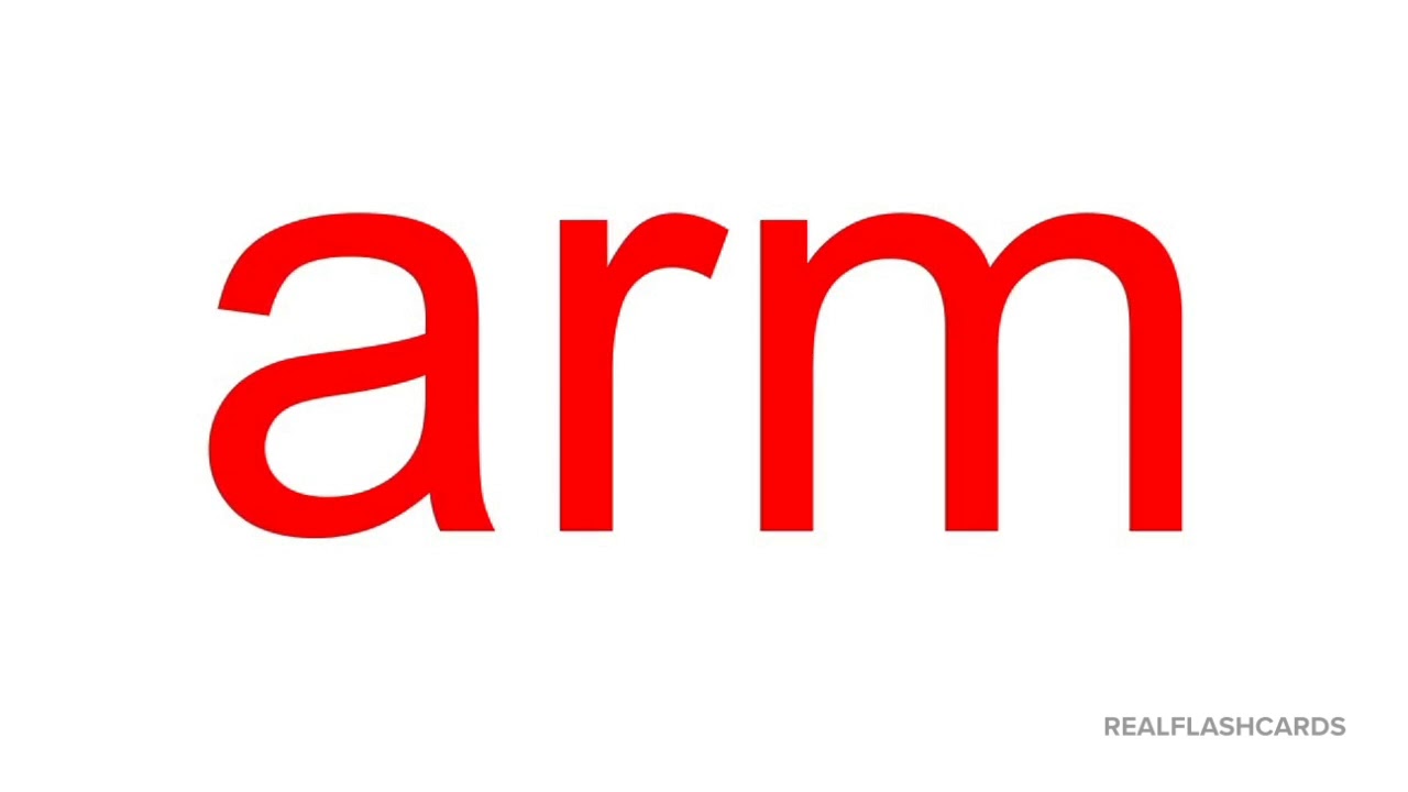 Body Parts. Anatomy for kids. Kids learning parts of the body Flashcards