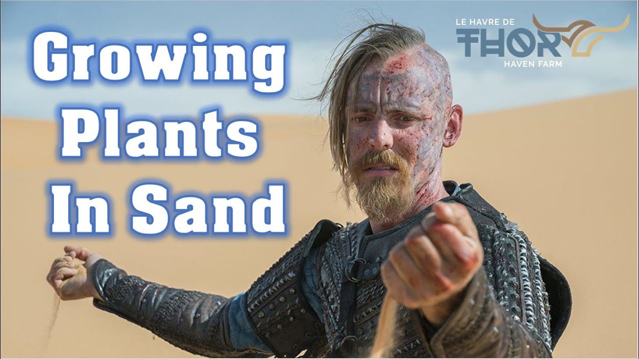 How to Grow Gardens In Sand