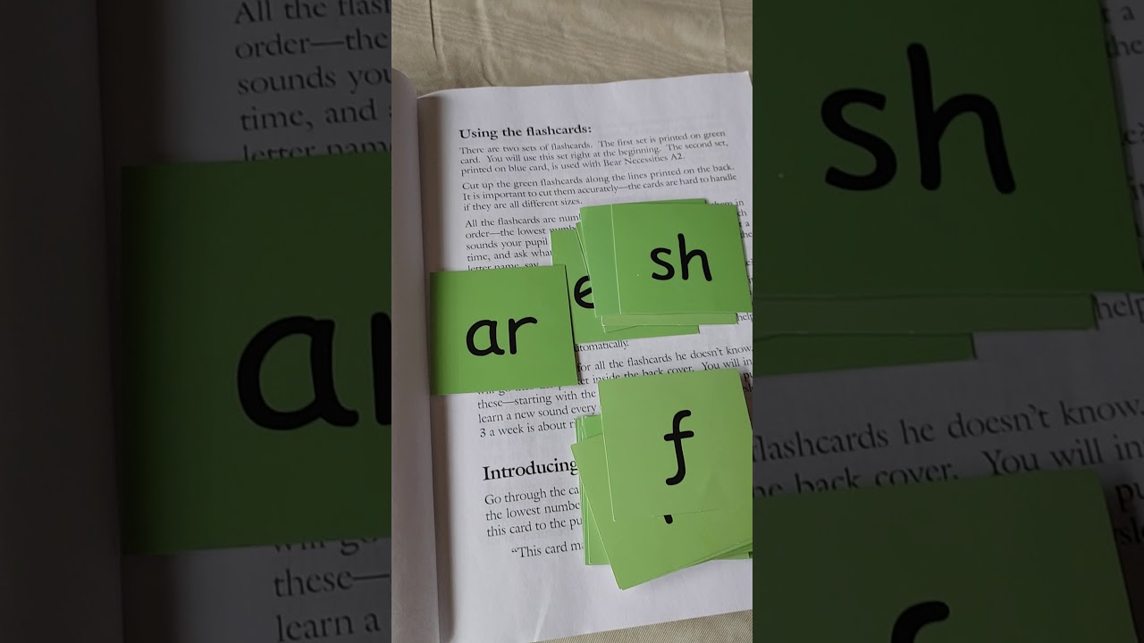 Bear necessities by Sound Foundations reading curriculum review