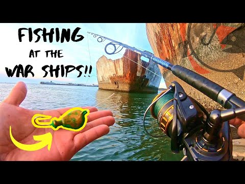 HOW TO : Catch Blackfish/Tautog! (LIMITED OUT!!)