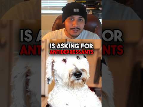This Dog Learned English and is Now Having an Existential Crisis