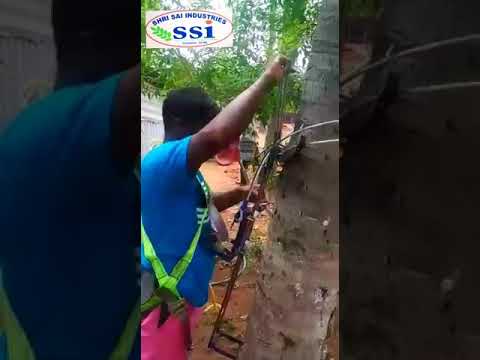 Coconut Tree Climber at Best Price in India