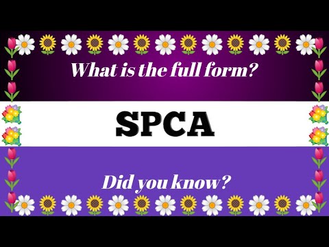 Full Form of SPCA.