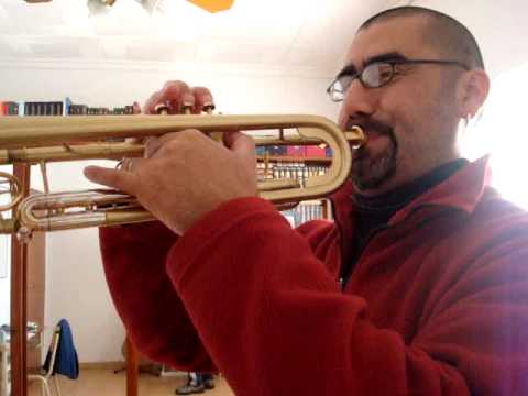 Weril Weril Regium II B-flat Trumpet Gold Lacquer | Reverb
