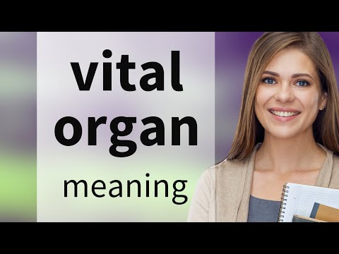 Vital organ | VITAL ORGAN definition