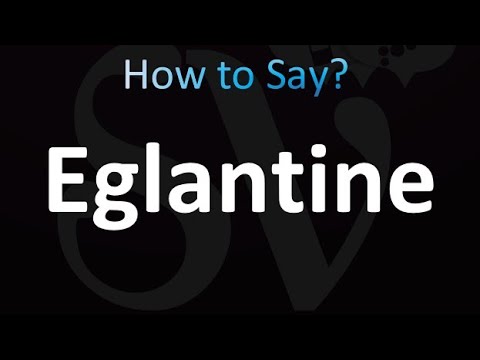 How to Pronounce Eglantine (correctly!)