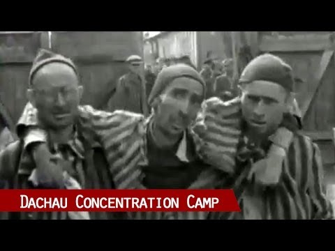 Dachau Concentration Camp | Bread Or Death Book