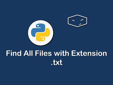 Learn find all files with extension txt in python - Mind Luster