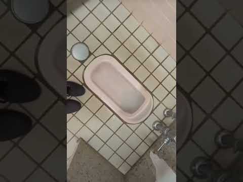 Japanese toilet called washiki somewhere in Suginami ku / Tokyo