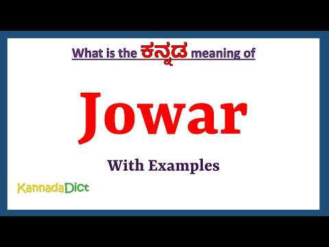 Jowar Meaning in Kannada | Jowar in Kannada | Jowar in Kannada Dictionary |
