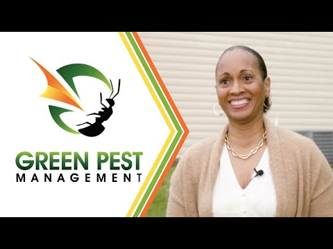 Green Pest Management: Exceptional Service: Customer Recommendation