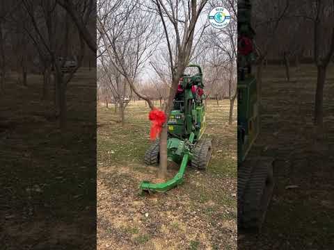 Move a Tree