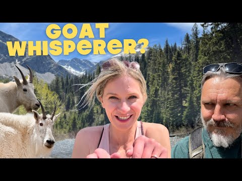 Our One and Only Day in Glacier National Park - Montana