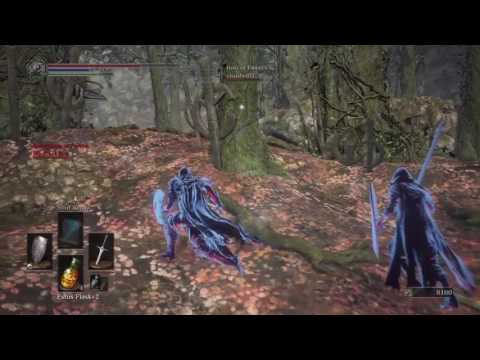 Steam Community :: Video :: DS3 Watchdog of Farron Invasion