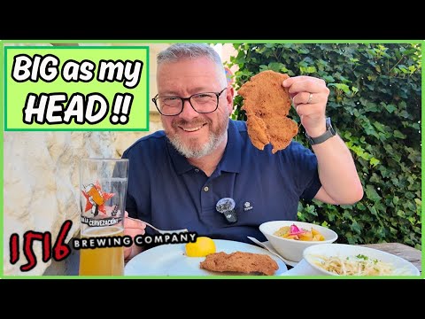 Great BEER and a Fab SCHNITZEL !! Review of 1516 Brewing Company in VIENNA !