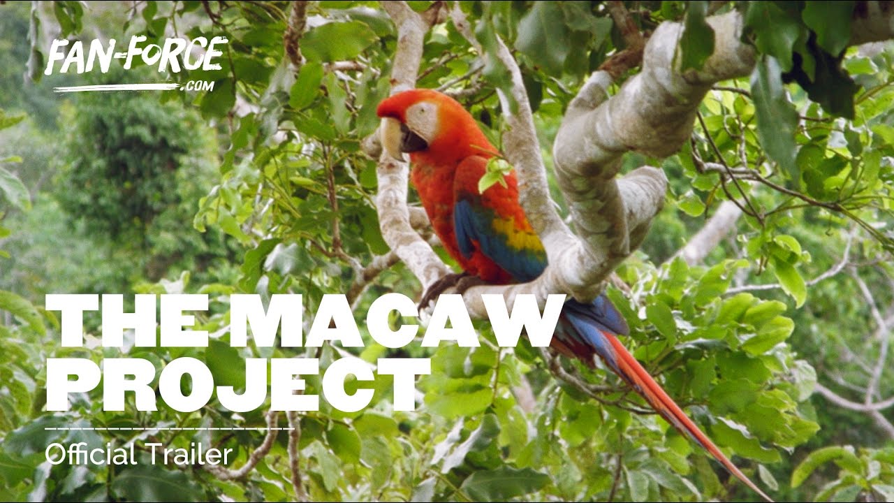 THE MACAW PROJECT | Official Trailer HD