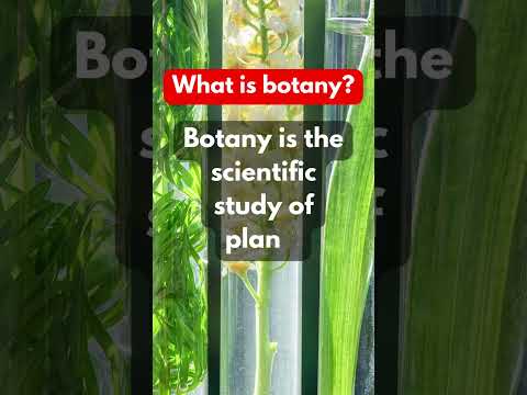 What Is Botany? (Botany Overview) #definition #short #viral