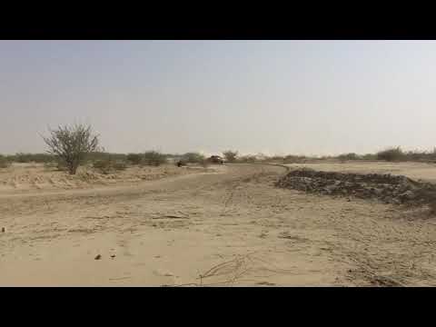 BK FORD RAPTOR LEFT FOOT BREAKING ...JHAL MAGSI