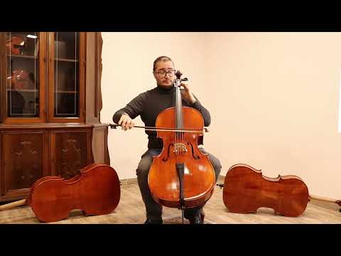 Testore Cello 4/4 from One Piece Back – Hand-Made in Romania | Reverb