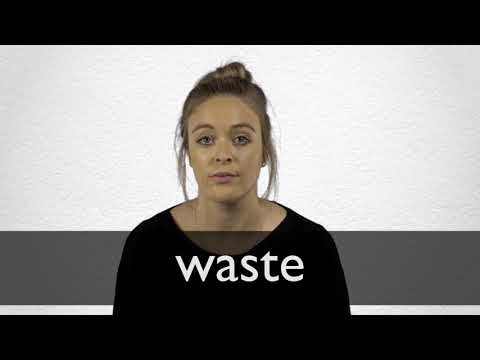 How to pronounce WASTE in British English