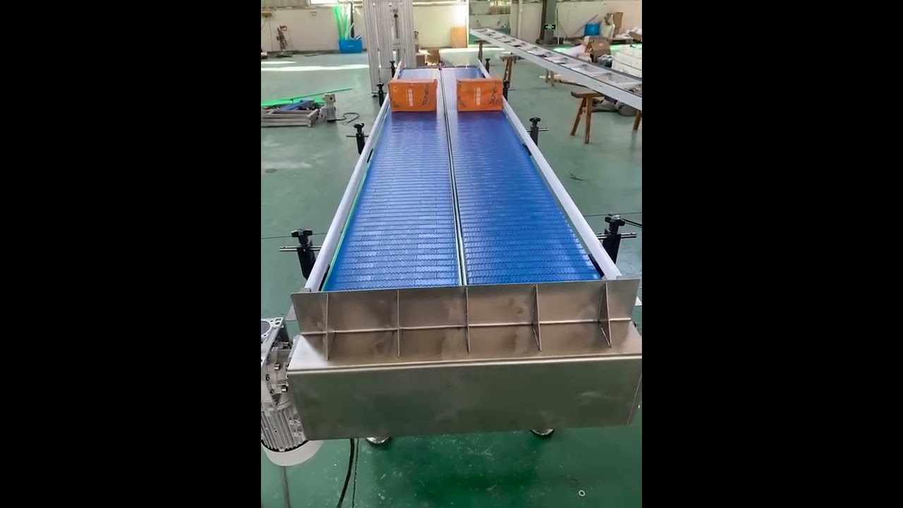 Double track modular belt conveyor