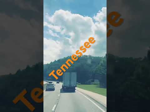 #cheeseman #trucking #kenworth #international #truck  #otrtruckdriver #blogger  #truckingvlog