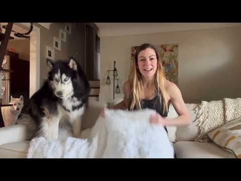 Review of Soft Fuzzy Faux Fur Throw Blanket ,50"x60",Reversible Lightweight Fluffy Cozy Plush