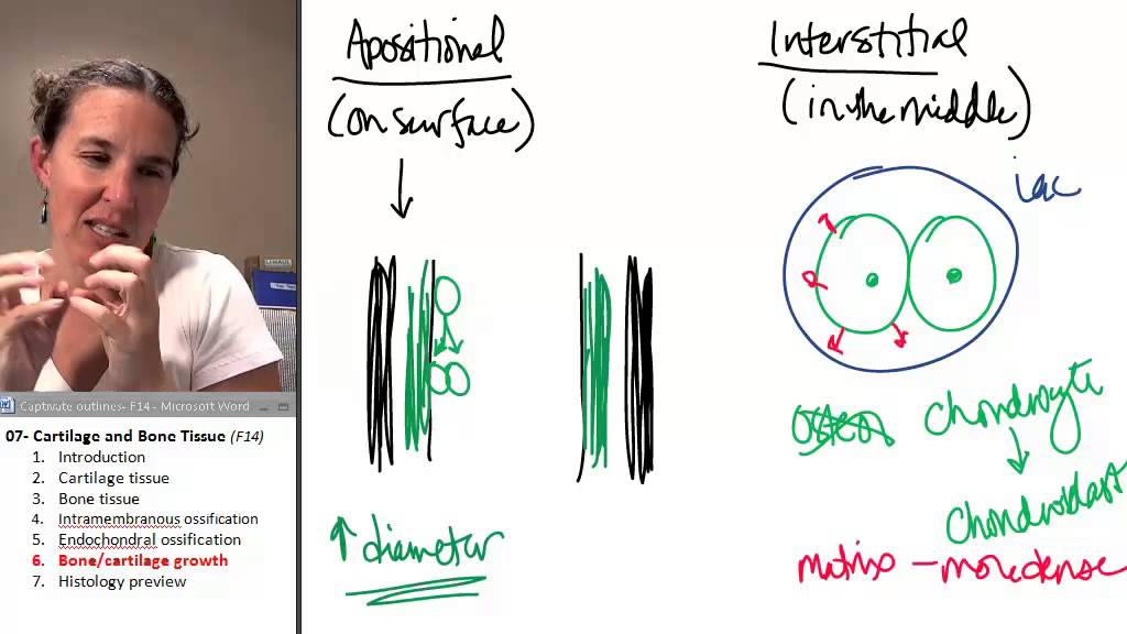 Bone + Cartilage 6- Growth