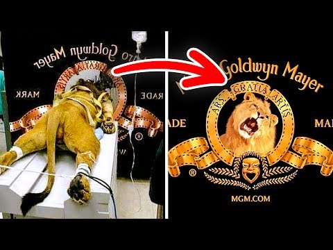 12 Facts About Famous Logos You Didn’t Know
