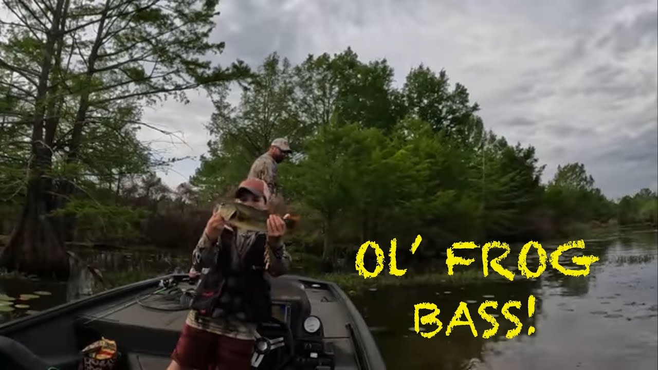 Millwood and TOPWATER ACTION