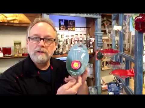 How to choose the best Hummingbird feeder