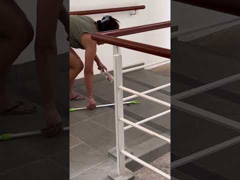 Baby snake in lift lobby | Singapore | @thamizhansingapore