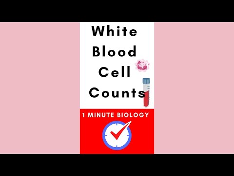 White blood cell count blood test #biology #microbiology #immunology #review #shorts #blood
