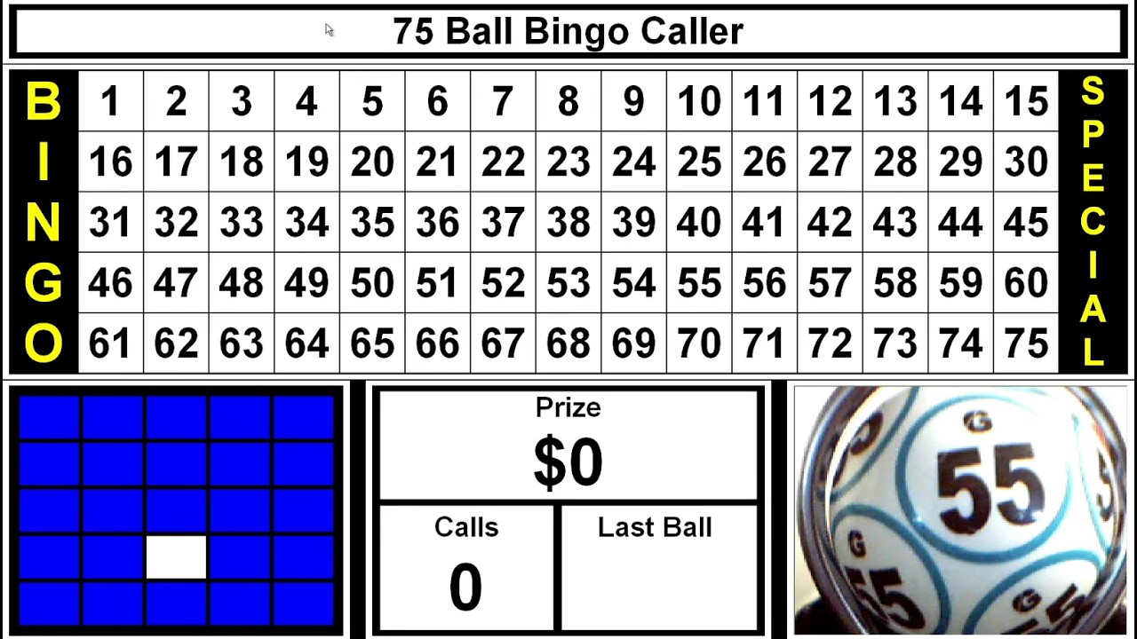 75 Ball Bingo Caller Game Blackout Minus One