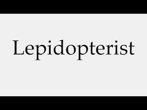 How to Pronounce Lepidopterist