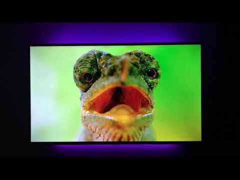 TCL 55S405 Review - The Best Bang For Your Buck 4K HDR TV Out There