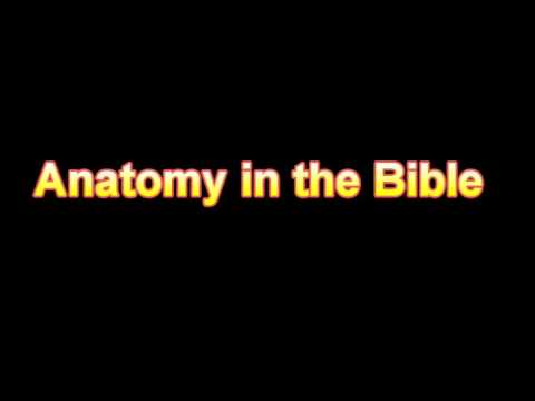What Is The Definition Of Anatomy in the Bible Medical Dictionary Free Online
